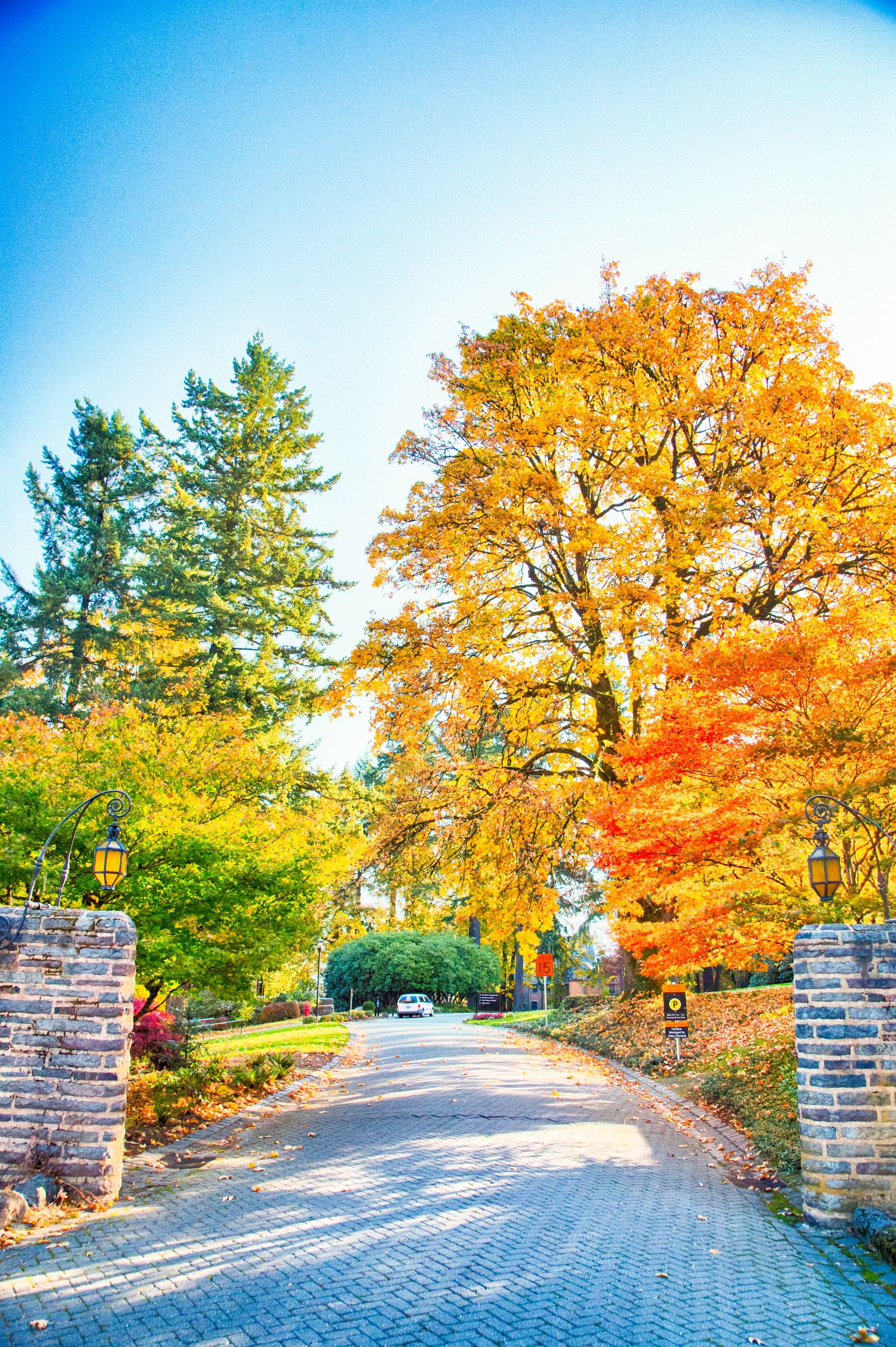 10 Scenic Drives That Show Off The Best Fall Foliage On The West Coast