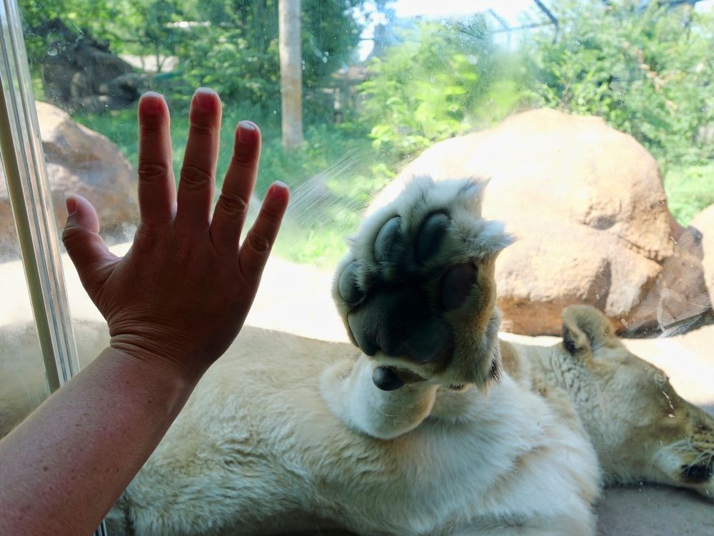 10 Things To Do In Topeka: Complete Guide To Exploring The Capital City