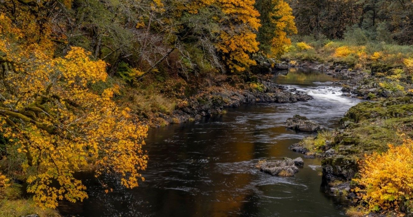 10 Hotels In Tillamook, Oregon, To Book For A Charming Fall Retreat