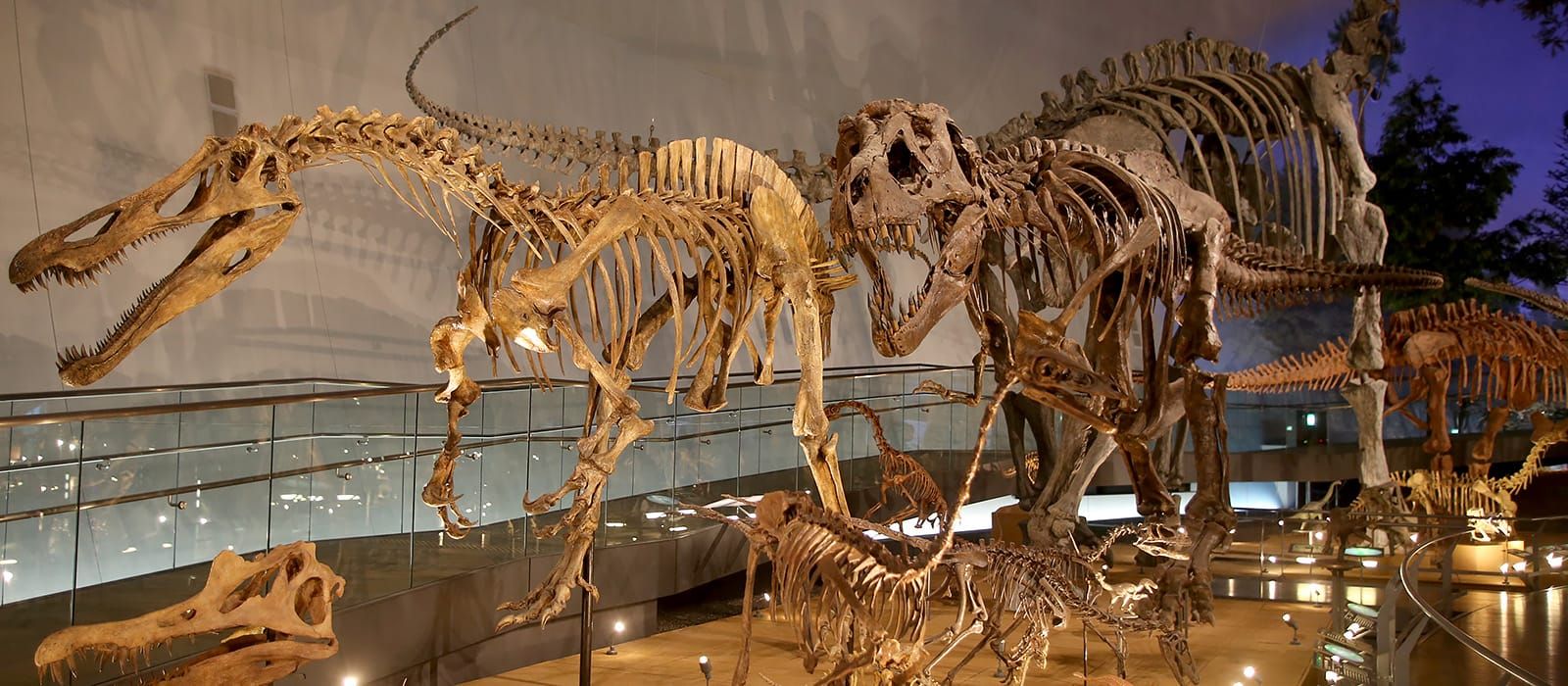Why Jurassic National Monument In Utah Is Worth Visiting (& What ...