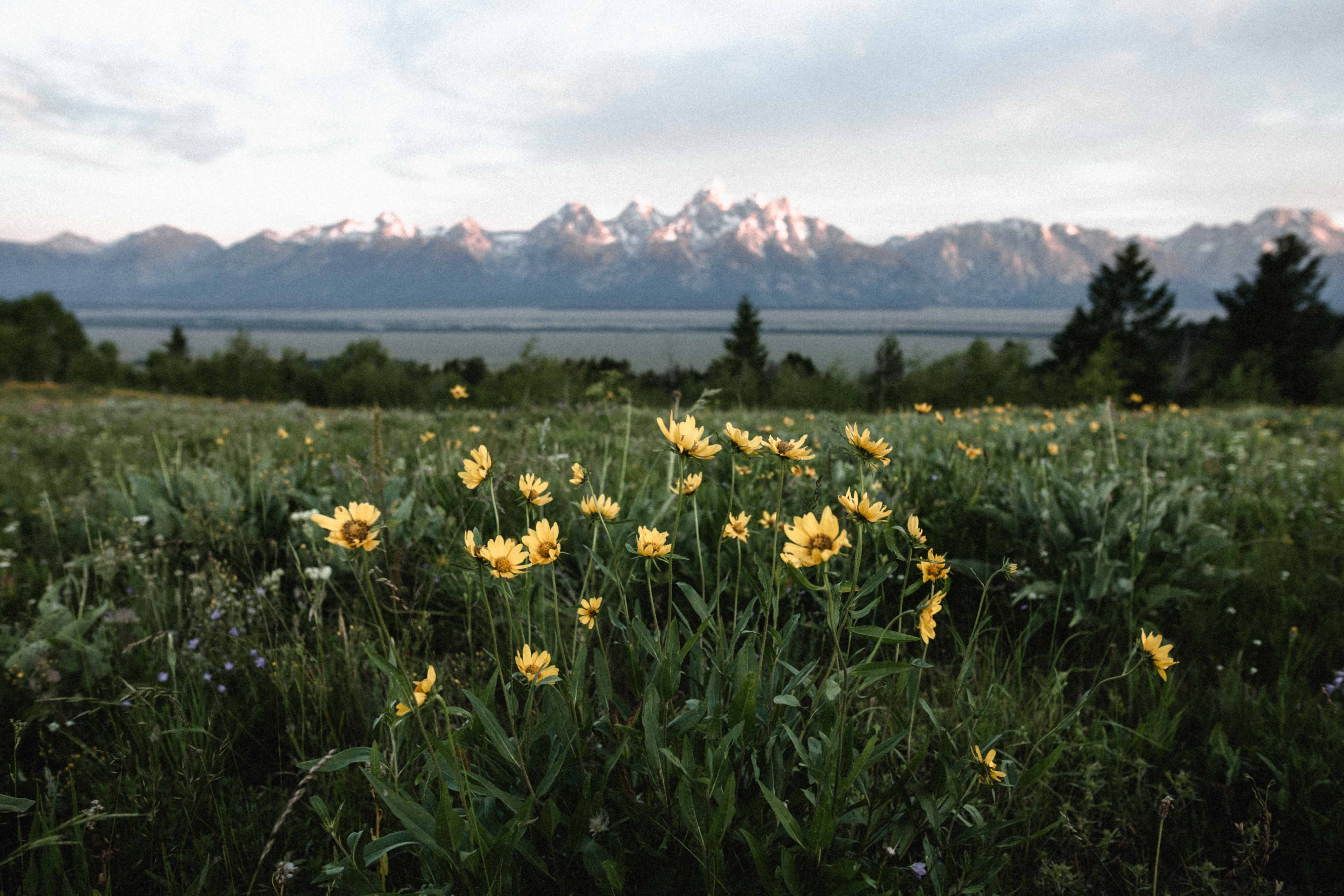 Everything You Need To Know About Wyoming's Six Beautiful Mountain Ranges