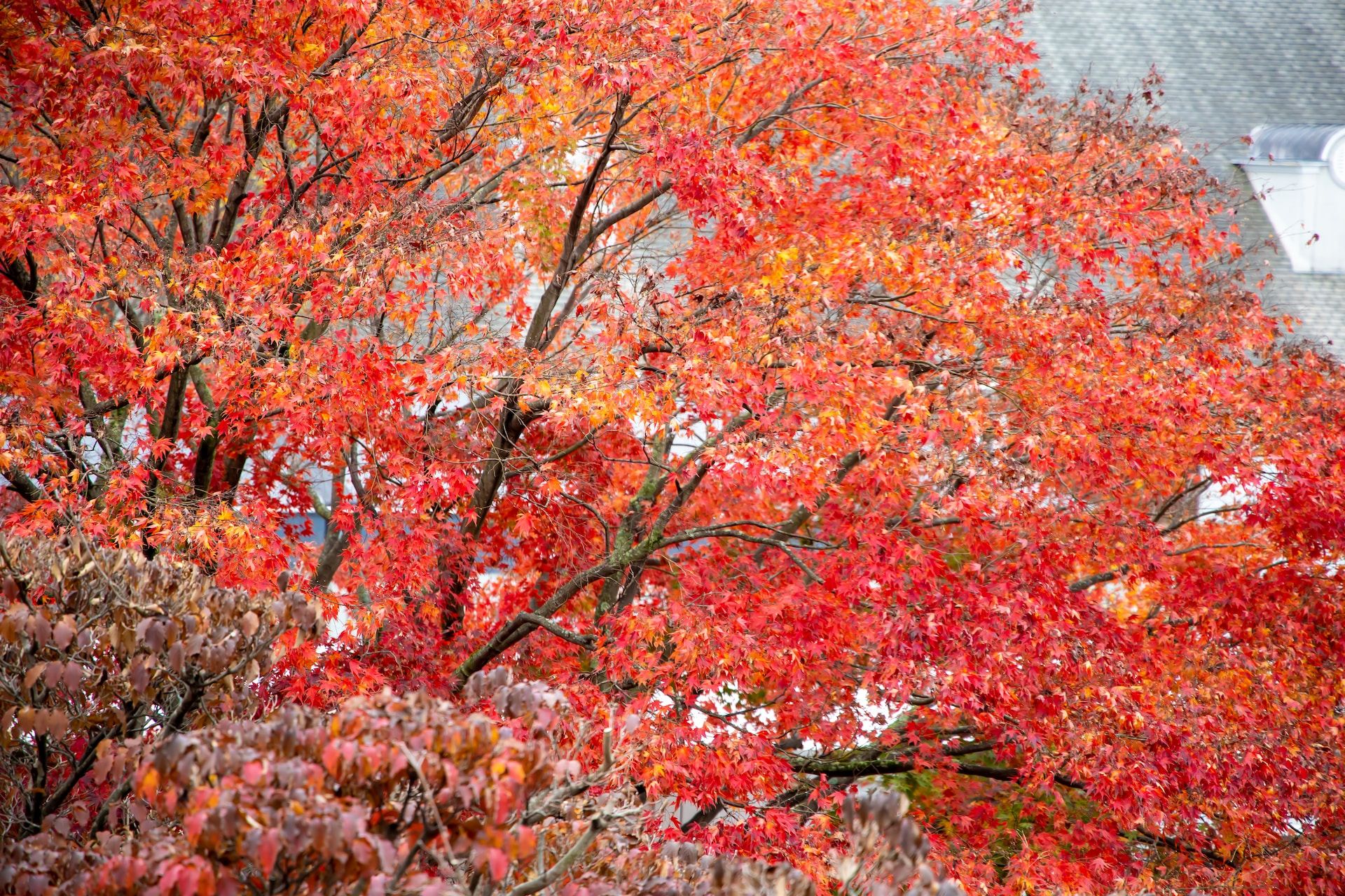 Beyond The City: 14 Most Beautiful Places To Visit On Long Island