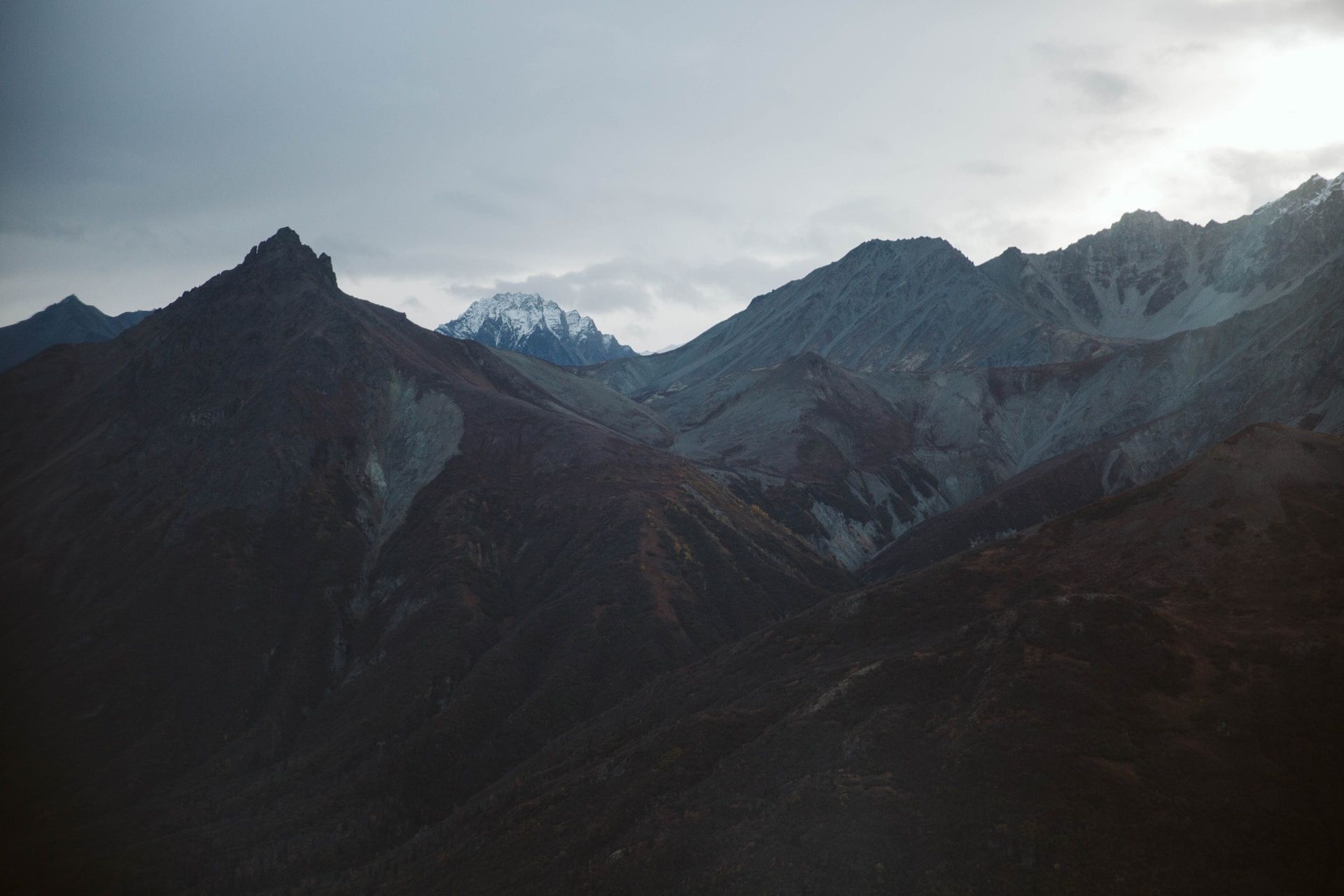 10 Things To Do In Denali National Park Region: Complete Guide To ...