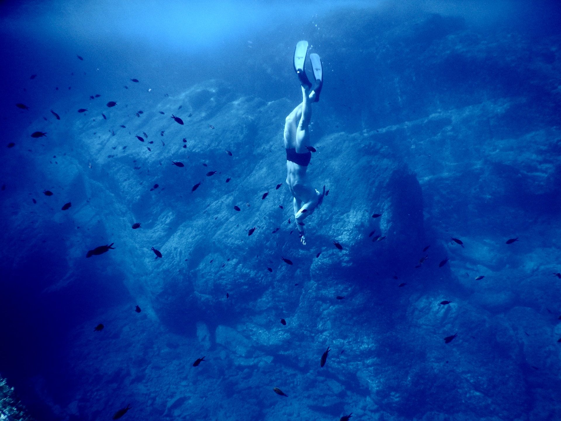 Freediving: 10 Incredible Facts To Know About This Unbelievable Sport