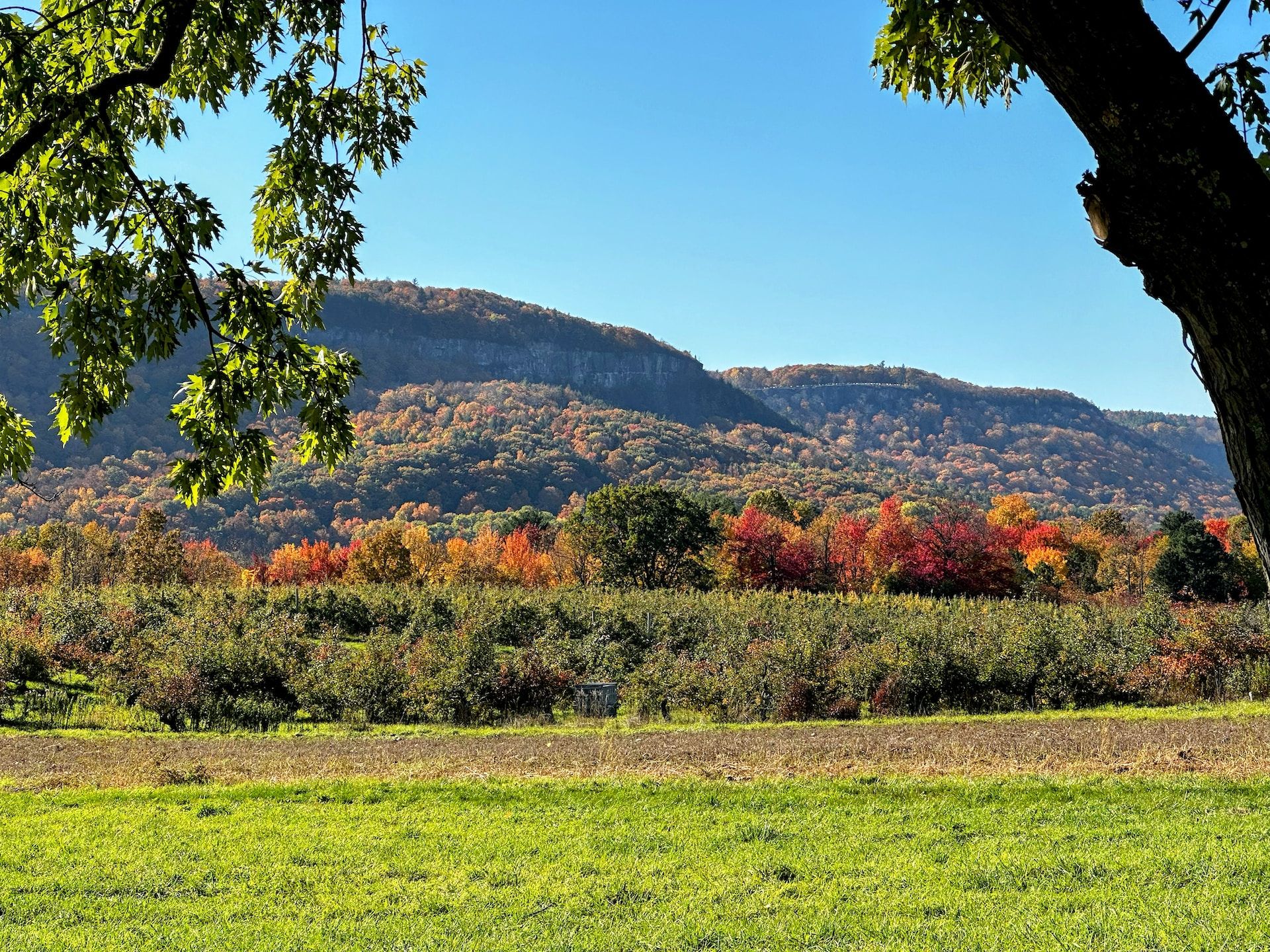 These Farms In Upstate New York Promise A Bucket List Fall Experience