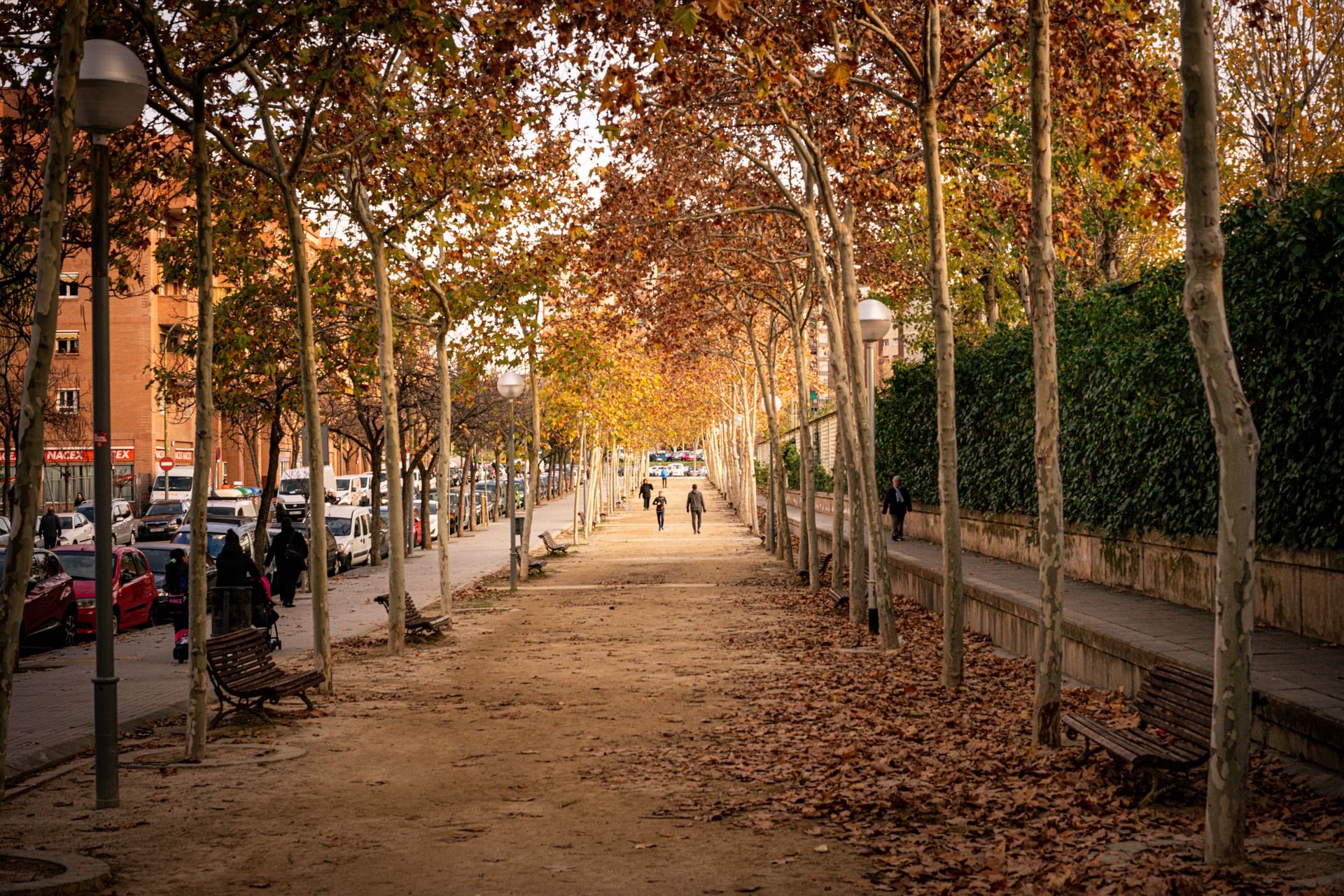 16 Best Barcelona Restaurants Where The Locals Go