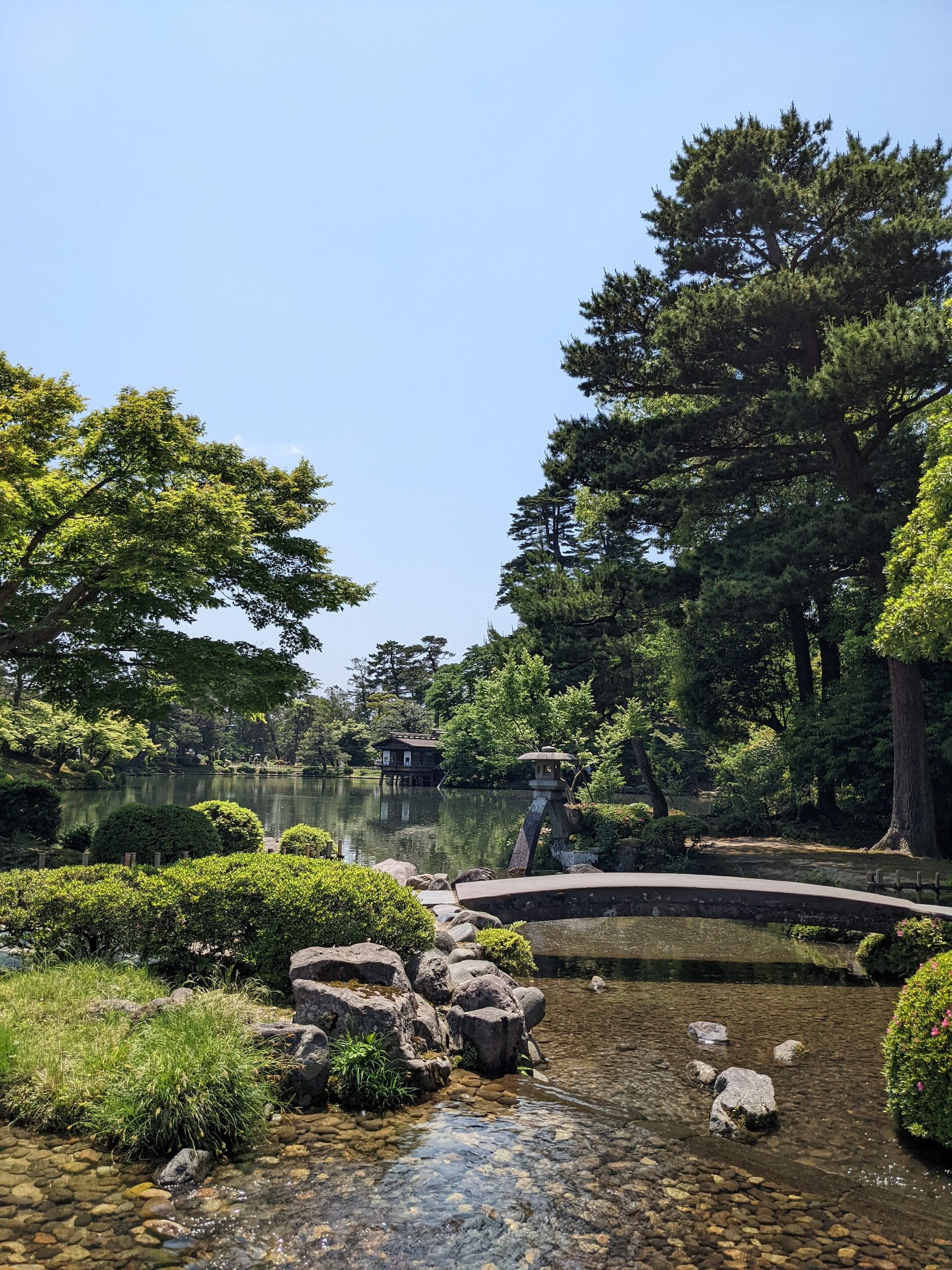 After Cherry Blossom Season, Here Are 10 Unique Activities To Enjoy In ...