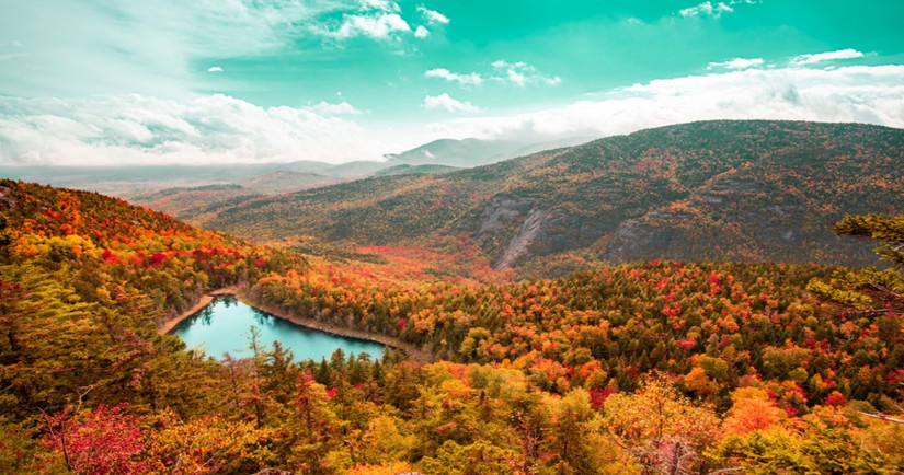 10 Most Beautiful Road Trips To Take For Fall Foliage In The U.S.