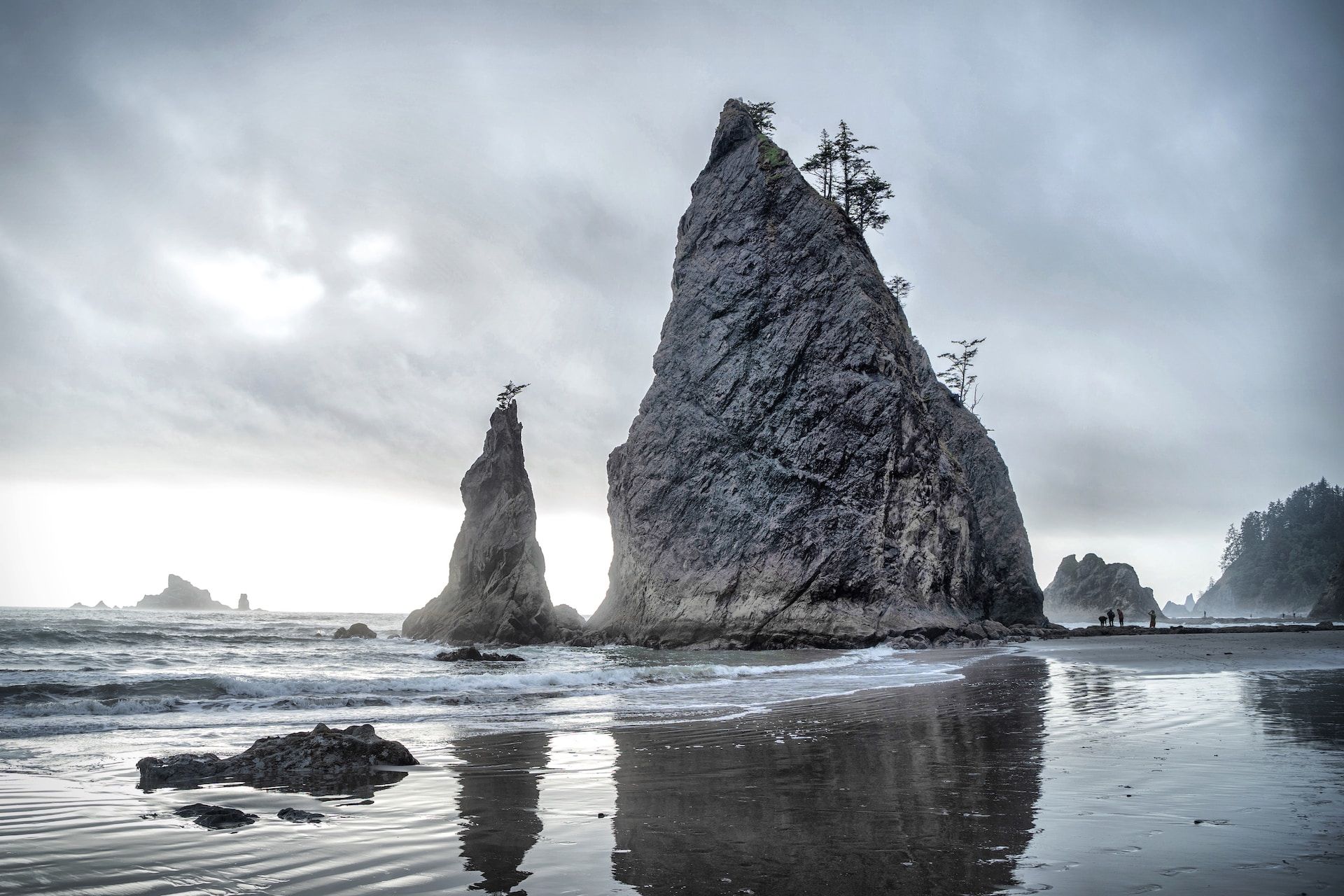 11 Things To Do In Olympic National Park: Complete Guide To Washington ...