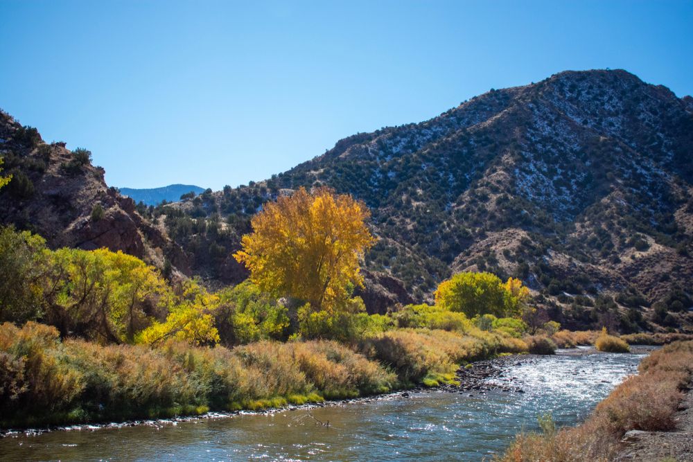 A Full Guide For A First-Timers Trip On The Royal Gorge Train