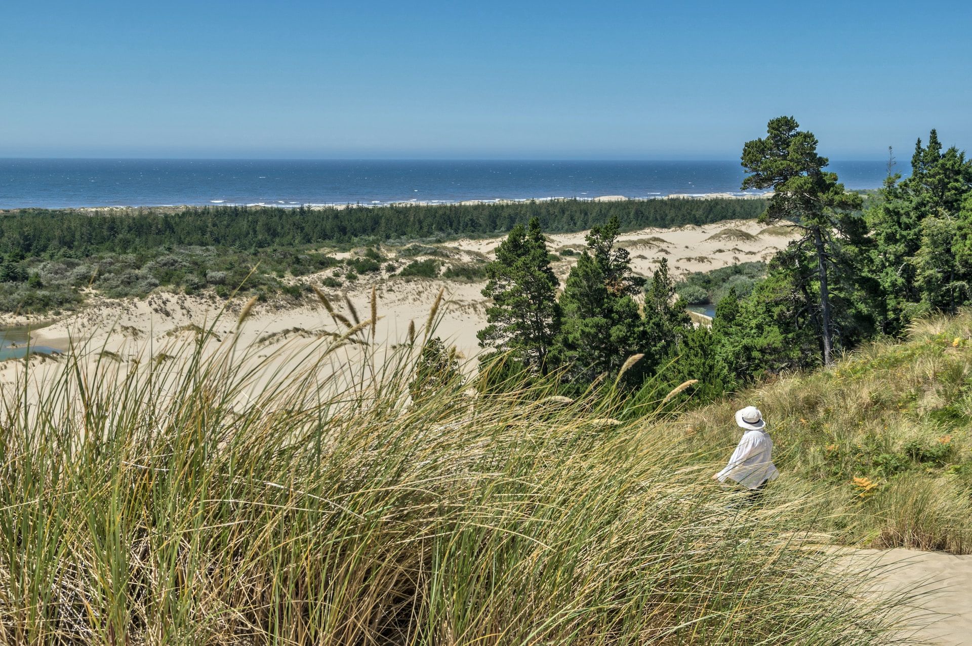 10 Things To Do In Oregon Coast: Complete Guide To The Best Pacific Scenery