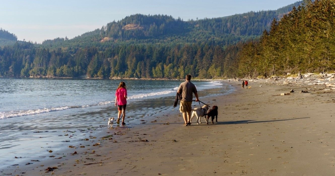 魅力的な白い砂浜があるカナダの 10 の島 - 世界の顔