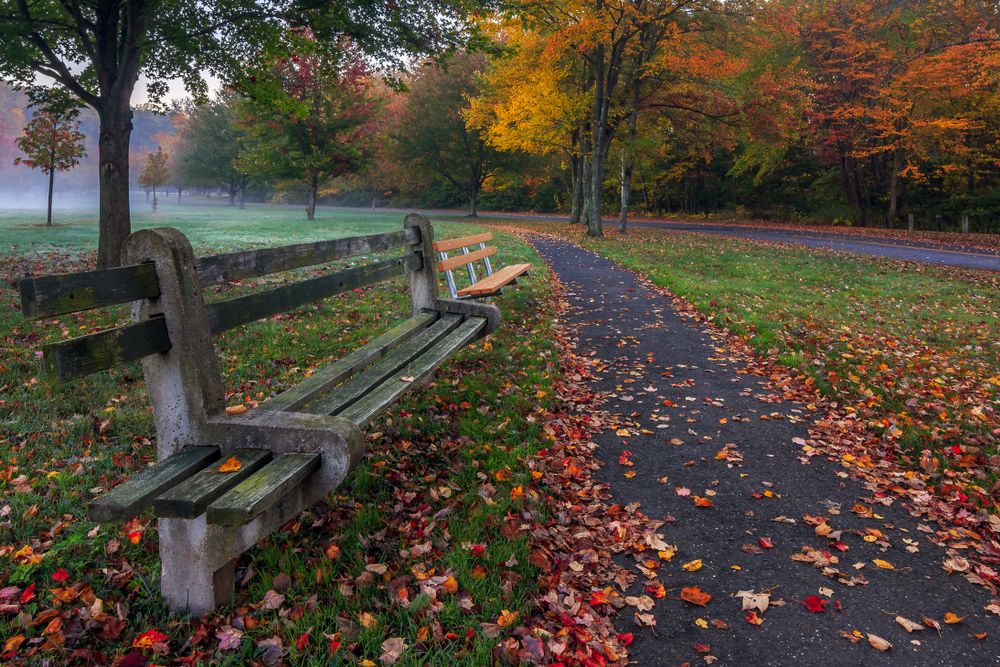 10 Totally Free Fall Festivals In New England To Add To Your Bucket List