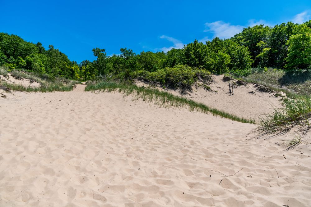 Here Are All Of Indiana's Most Beautiful Dune Beaches That You Should ...