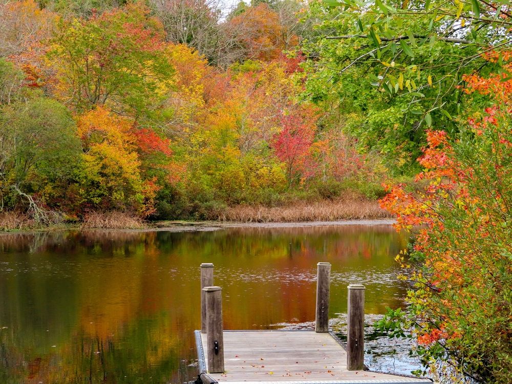 10 Amazing Weekend Trips To Take In The Fall Throughout New York State