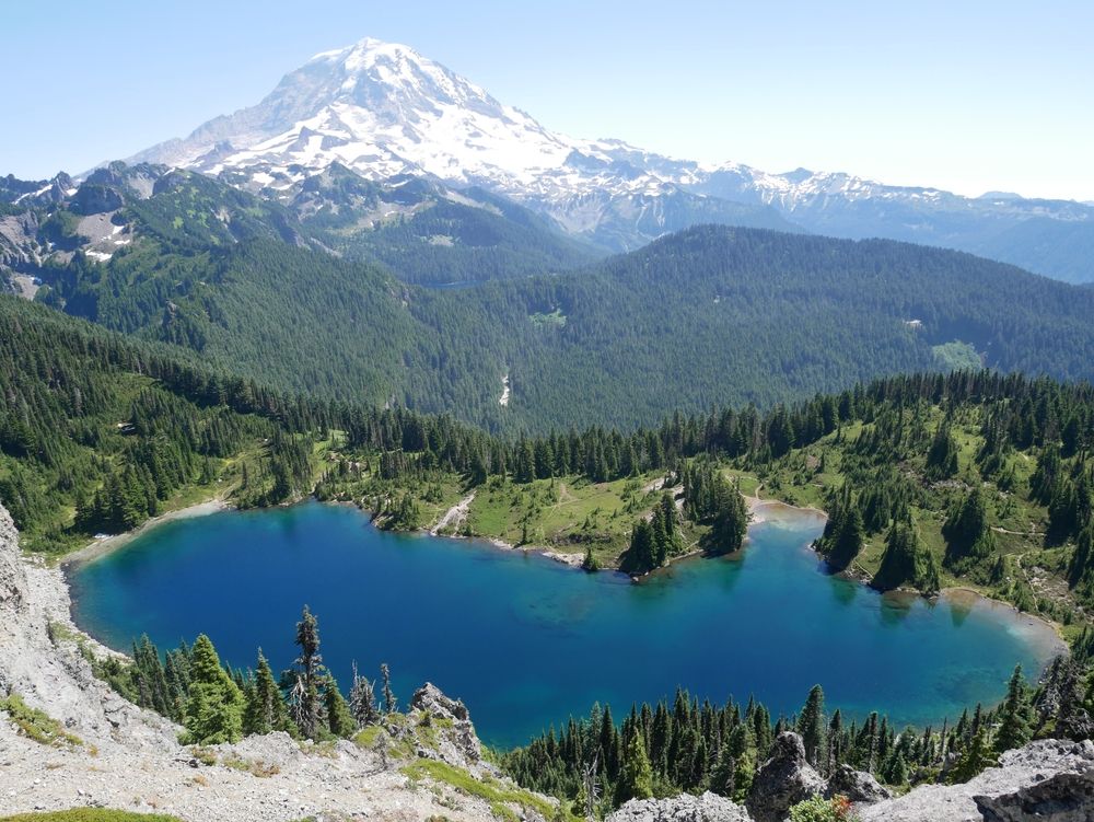 From Wildflowers To Crisp Leaves: 10 Mount Rainier Hikes That Show Off ...