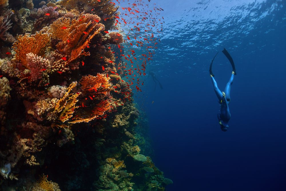 Freediving: 10 Incredible Facts To Know About This Unbelievable Sport