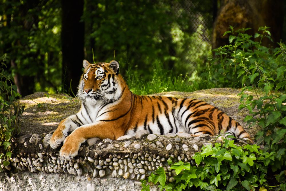 10 Things To Do In Munich: Complete Guide To Germany's Old-World City ...