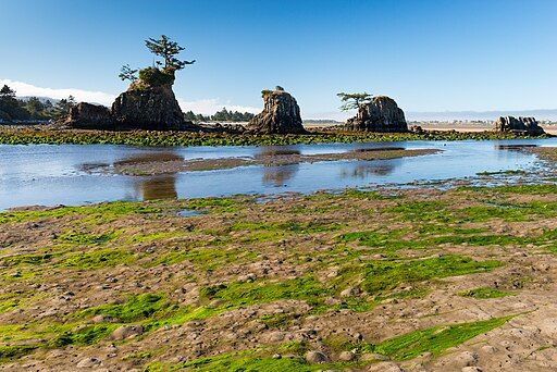 10 Oregon Coast Hotels To Book For A Remarkable Fall Getaway