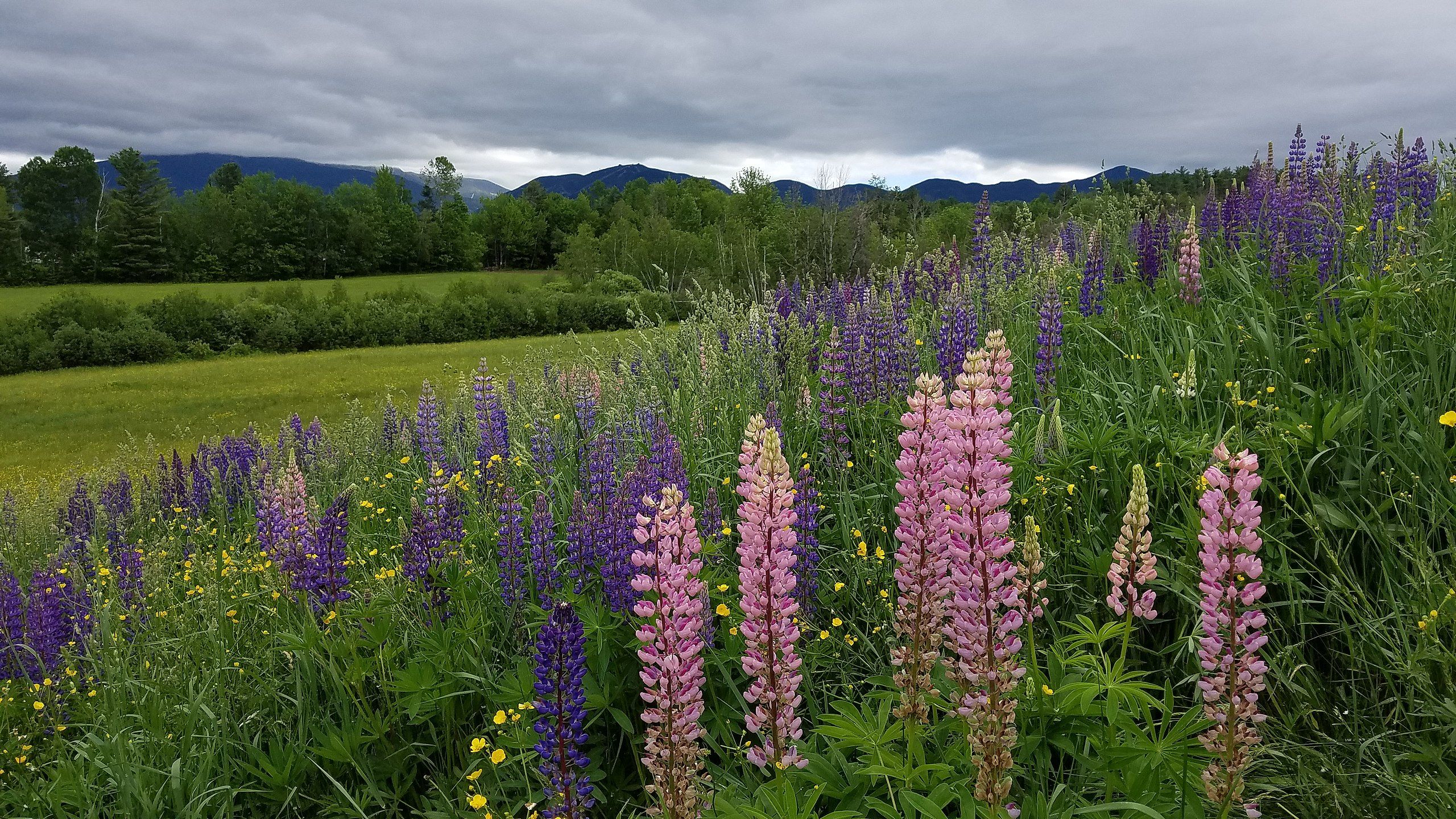 14 Most Beautiful Towns In New Hampshire You Should Visit