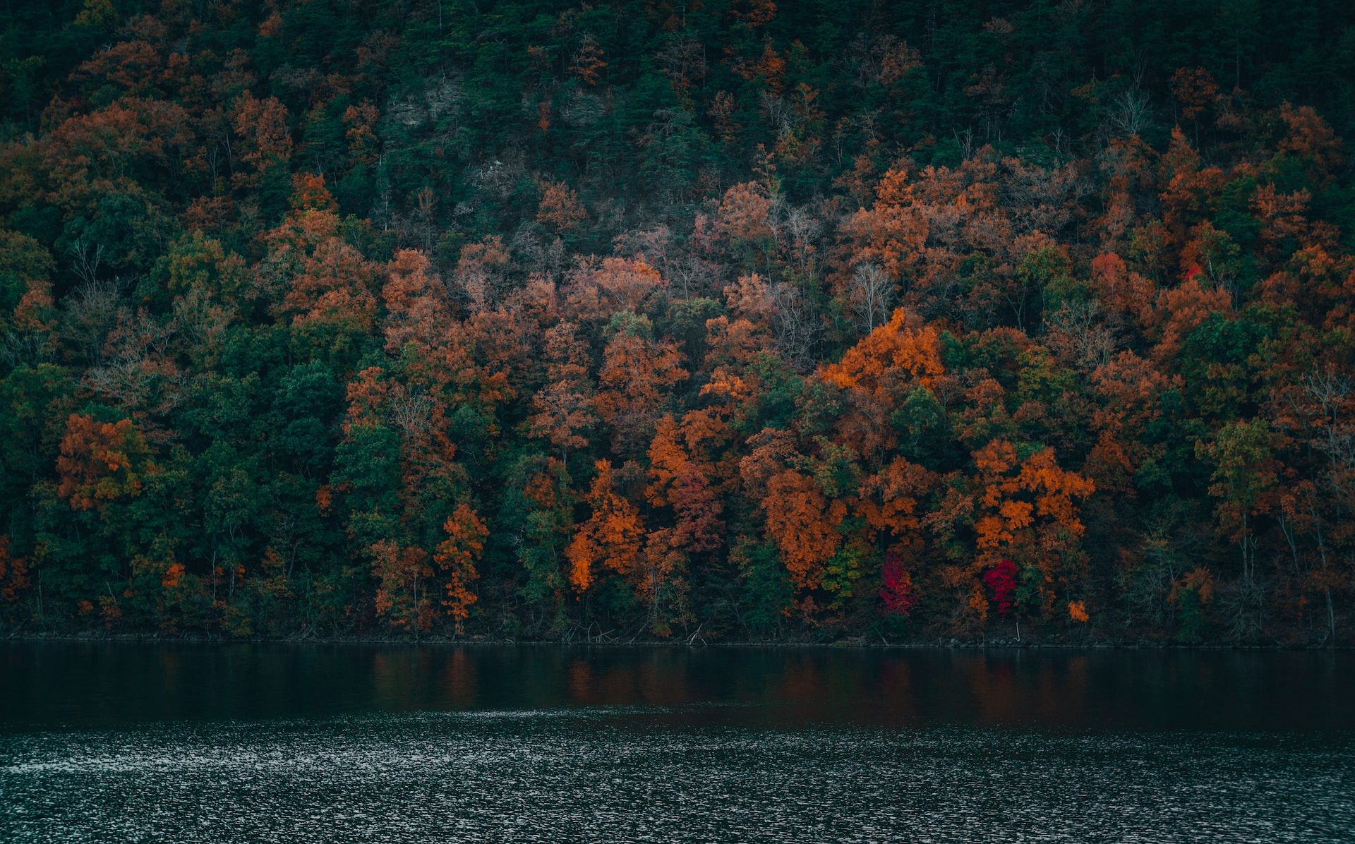 These 10 Stunning Lakes In Tennessee Boast Beautiful Sandy Beaches
