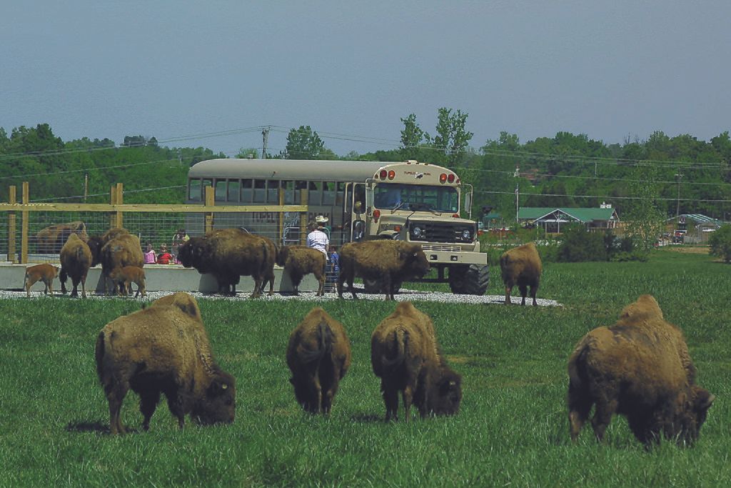 10 Hidden Gems Not To Miss In Mississippi