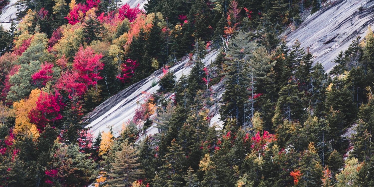 Welch Dickey Loop Map