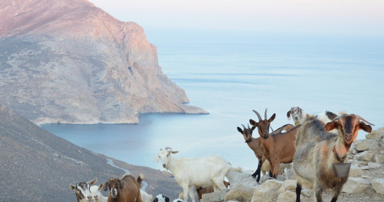 10 Reasons To Visit This Greek Island That Only Locals Know About