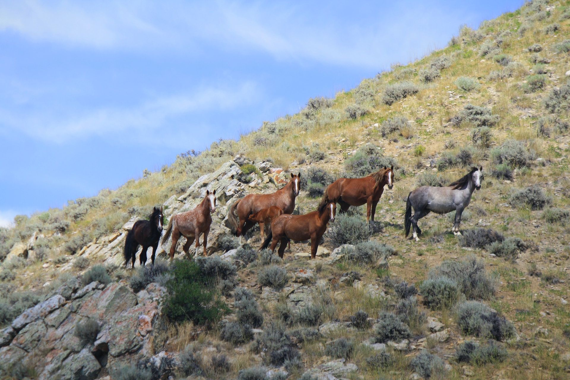 10 Things To Do In Sheridan: Complete Guide To An Underrated Western Gem