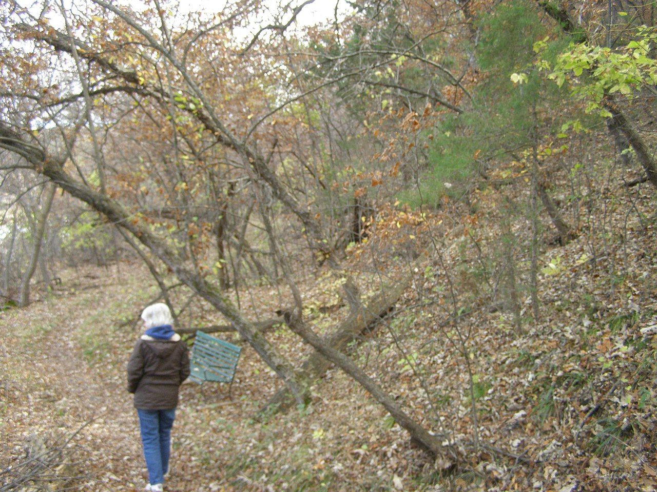 Nebraska's Cowboy Trail Offers A Rustic View Of The State's Fall Foliage