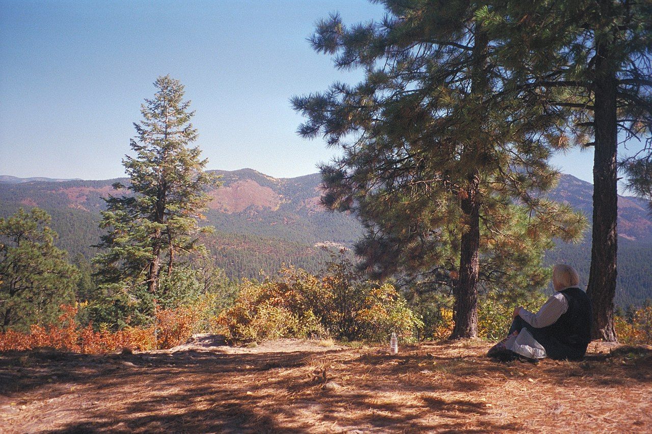 10 Beautiful Places In New Mexico Where You Can See Fall Foliage