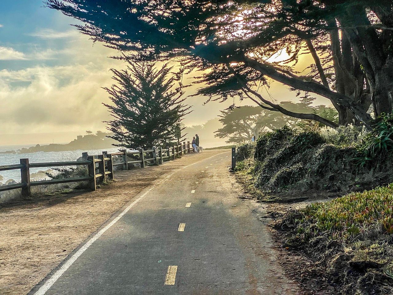10 Scenic Eco-Friendly Tours You Can Take In Monterey