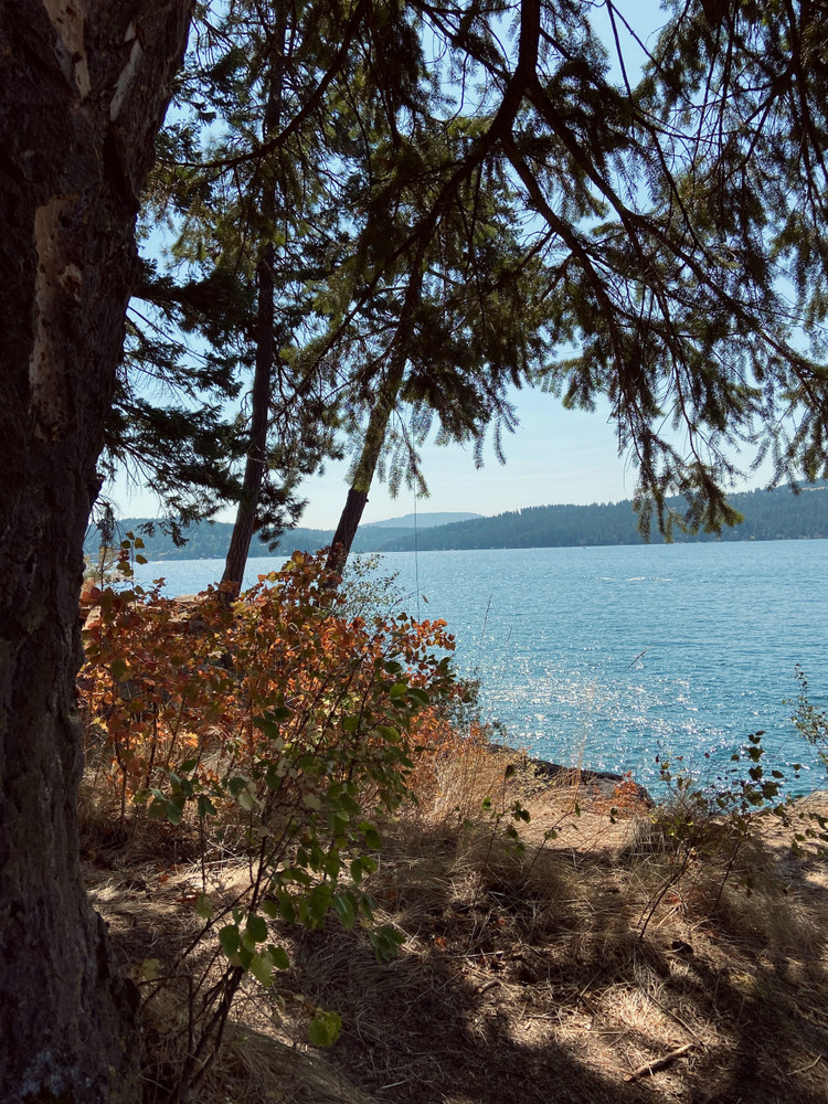 14 Things To Do In Coeur d'Alene: Complete Guide To The Perfect ...
