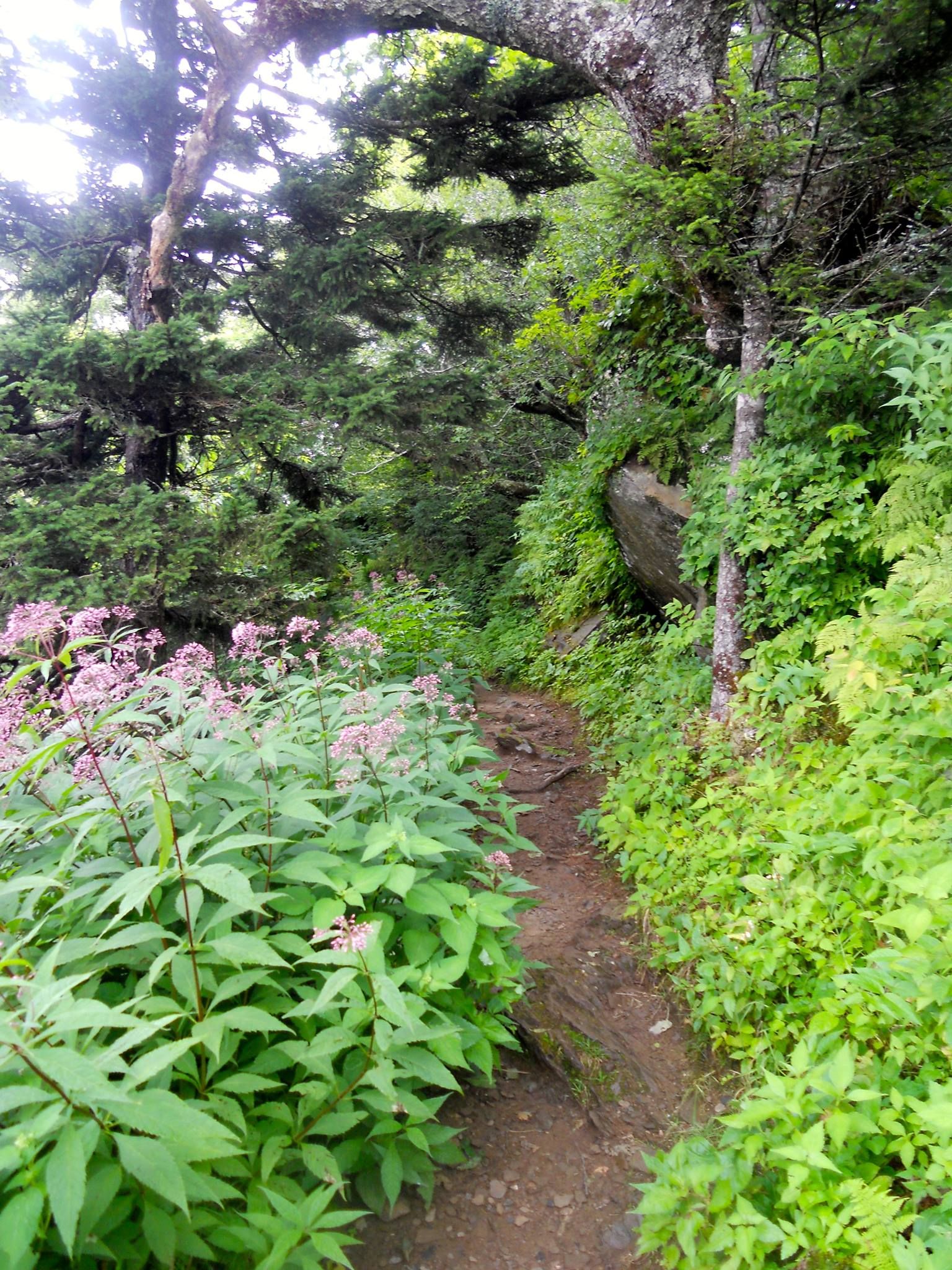 Rules Of Appalachia: 7 Things You Should Never Do In These Mountains