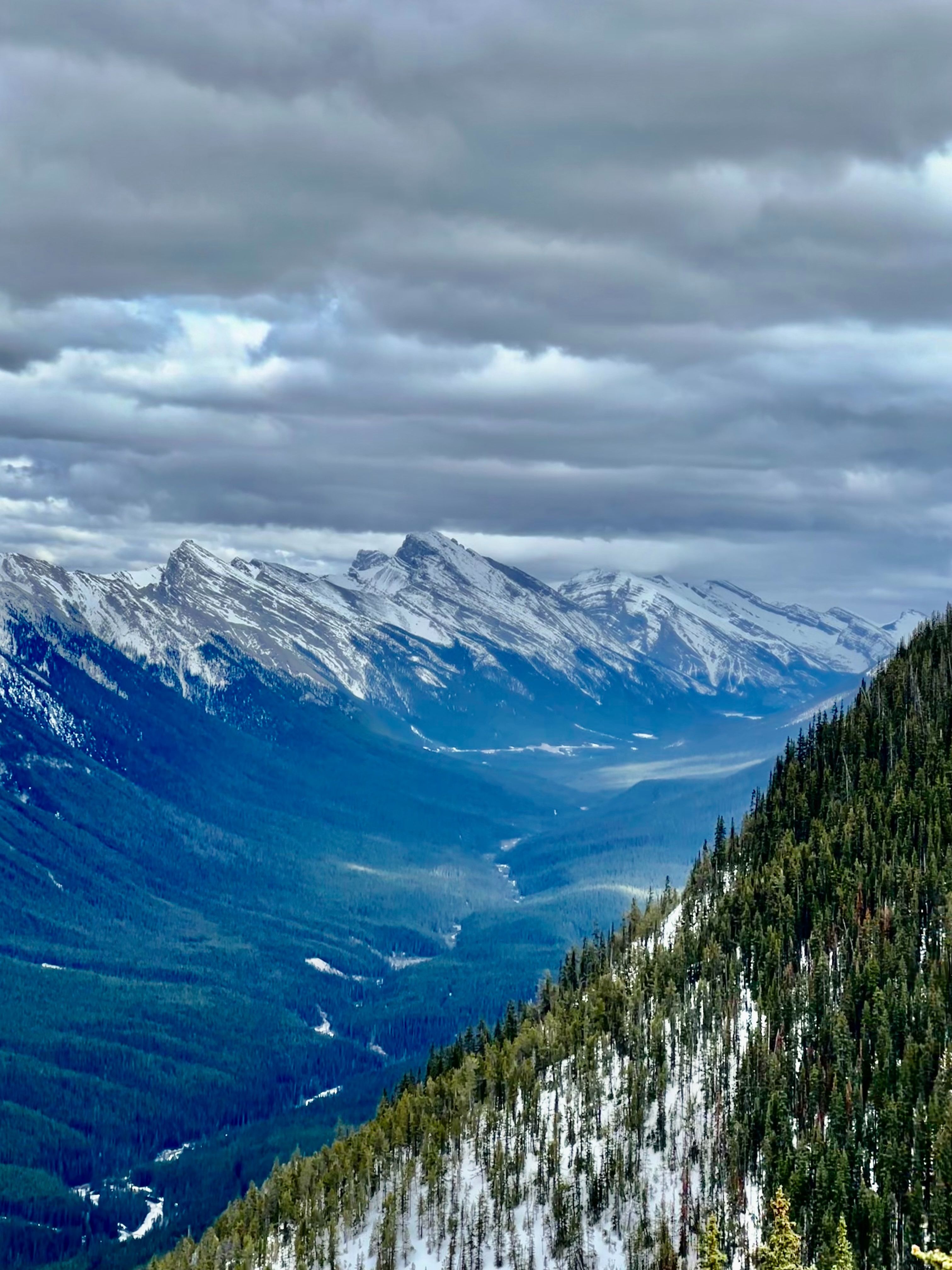 Guide To The Banff Gondola, From Costs, Best Time To Go, & Scenic Sights