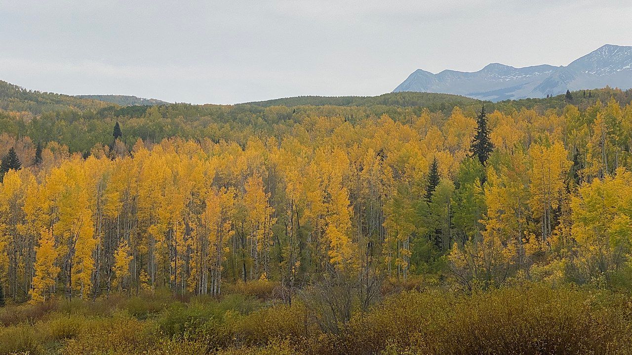 10 Amazing Destinations In The U.S. For Fall Camping To Book