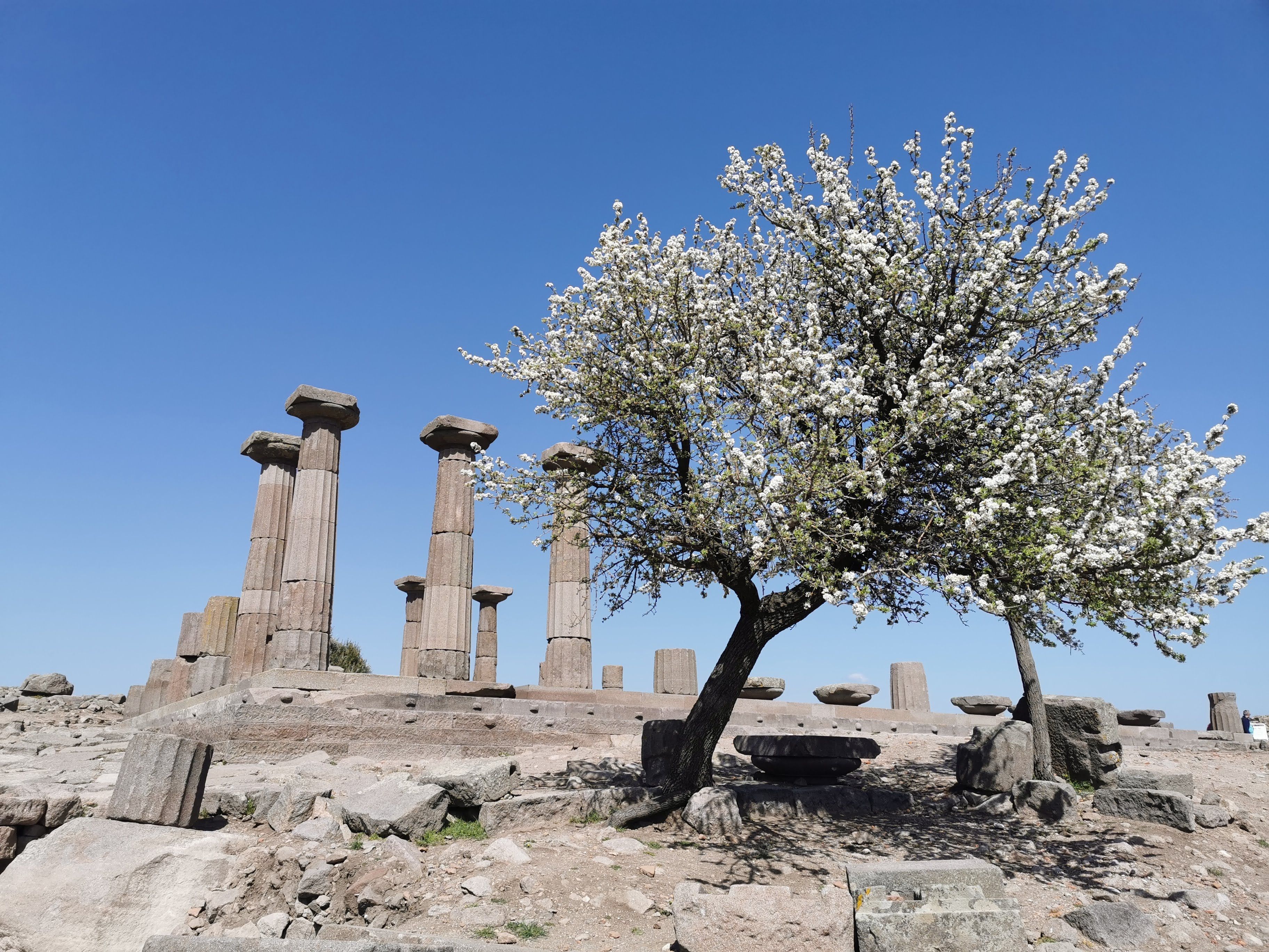 Here Are 10 Ancient Greek Temples Dedicated To The Goddess Athena That Are Worth Touring