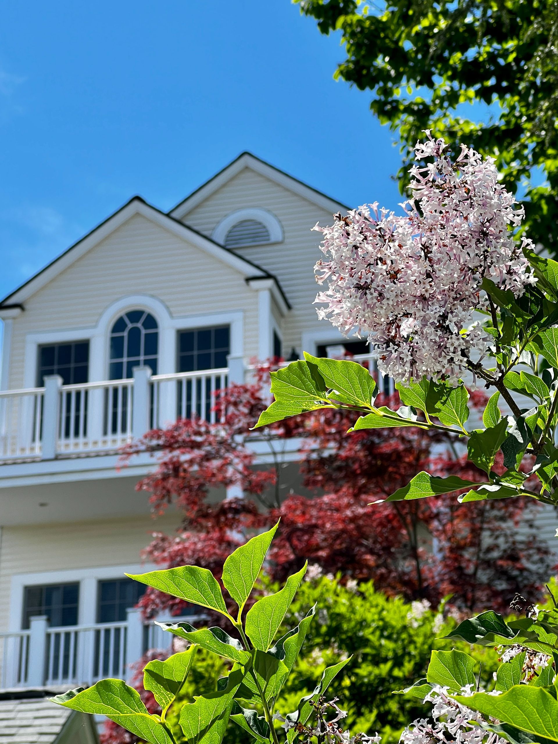 10 Things To Do In Camden: Complete Guide To Maine's Hidden Small-Town Gem