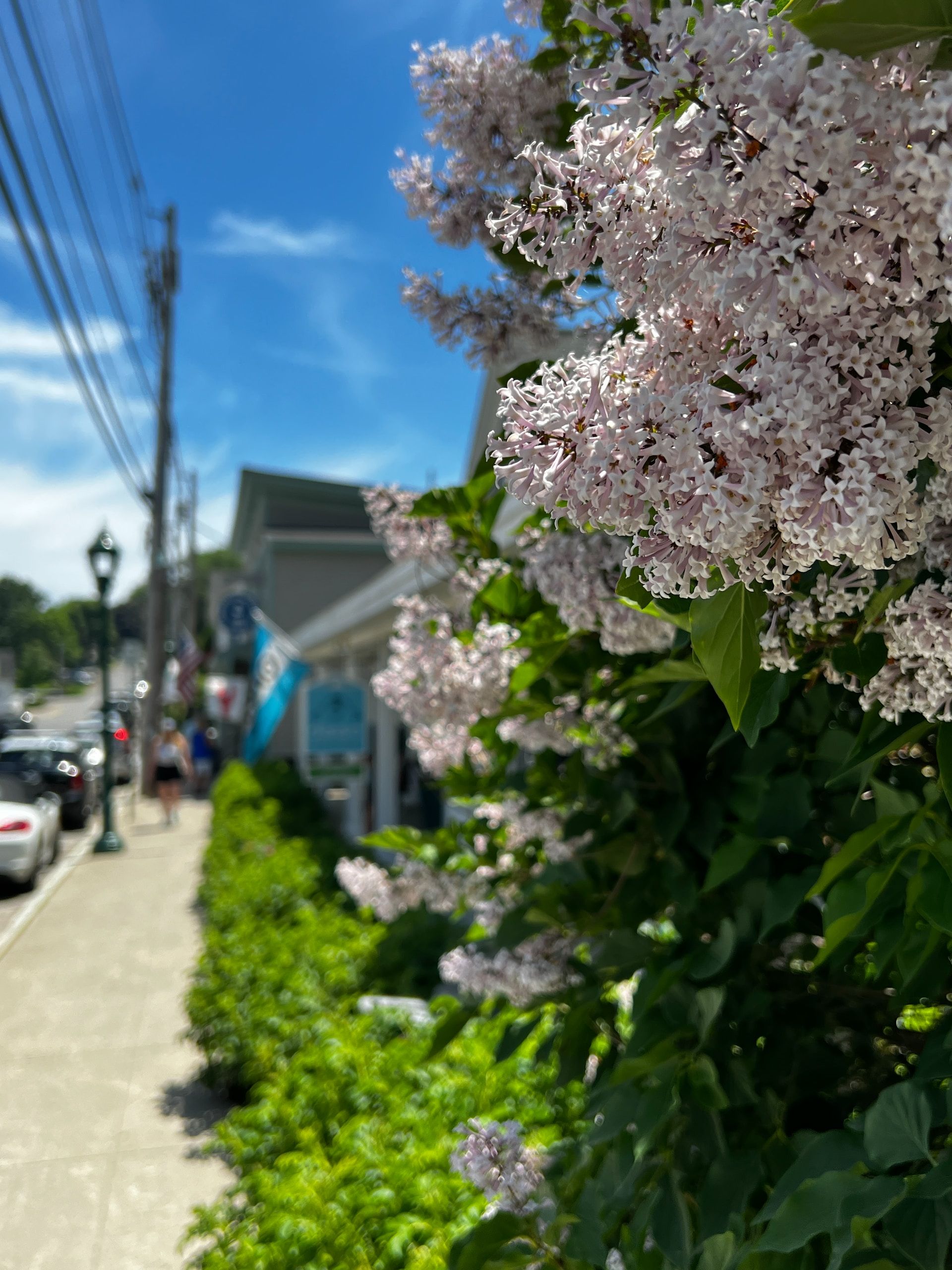 10 Things To Do In Camden: Complete Guide To Maine's Hidden Small-Town Gem