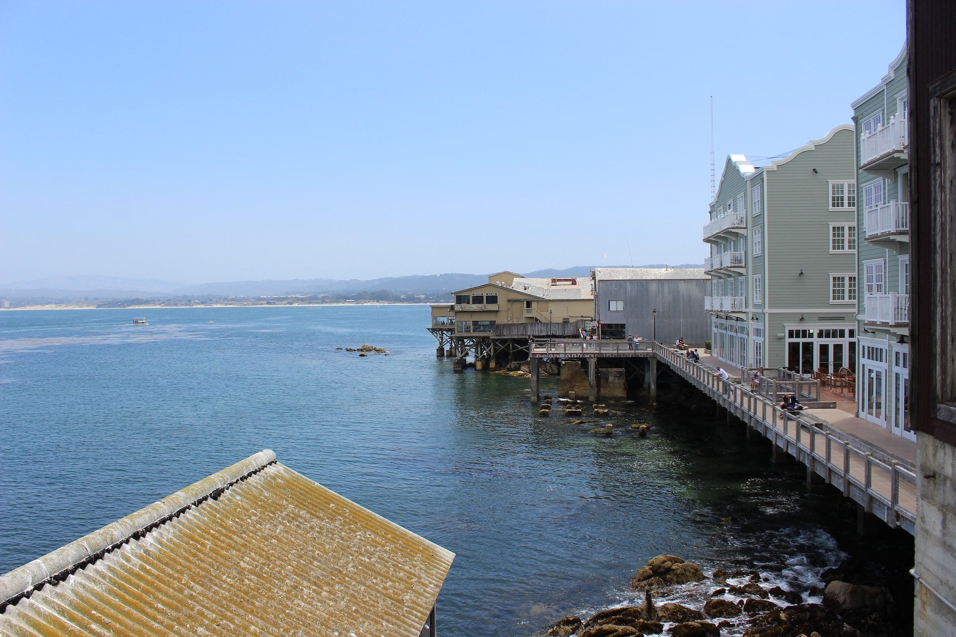 10 Scenic Eco-Friendly Tours You Can Take In Monterey