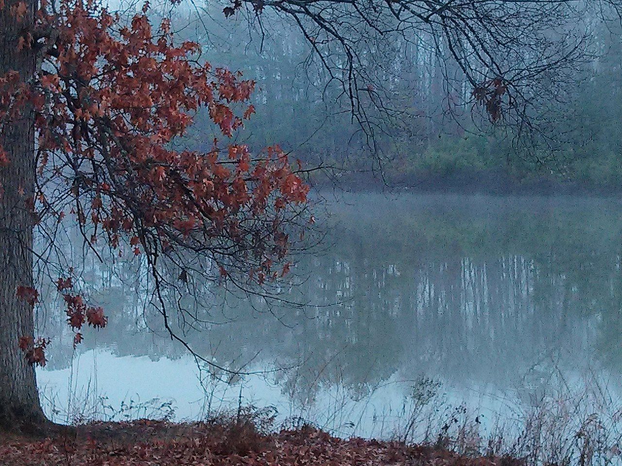 10 Cities In The U.S. Worth Visiting With The Cleanest Tap Water