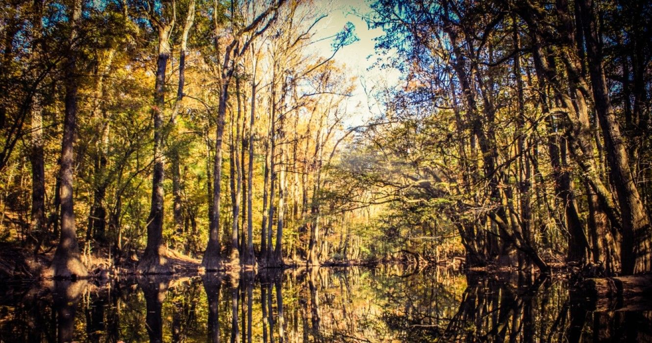 10 Best Hotels Near This Lesser-Known National Park Where You Can See ...