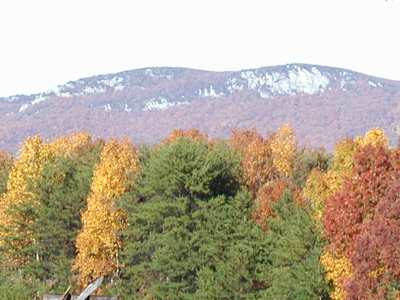10 Amazing Trips To Take In The Fall In North Carolina