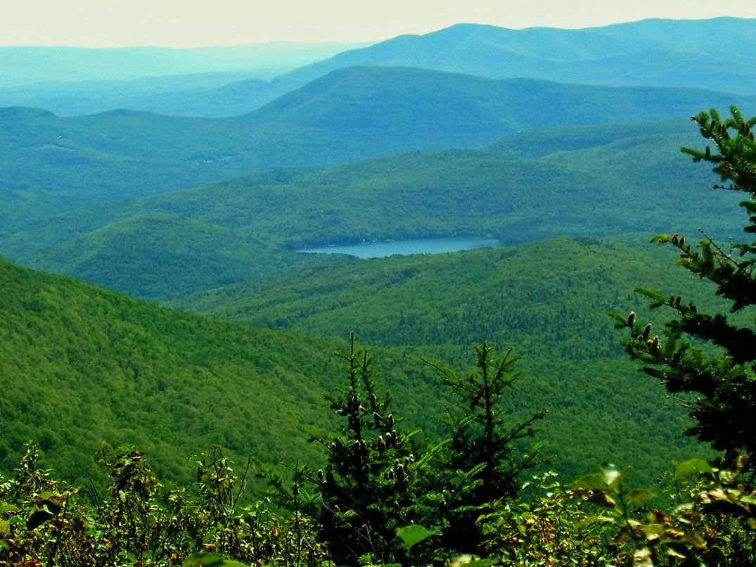 10 Most Beautiful Apple Orchards To Visit In The Northeast During The Fall