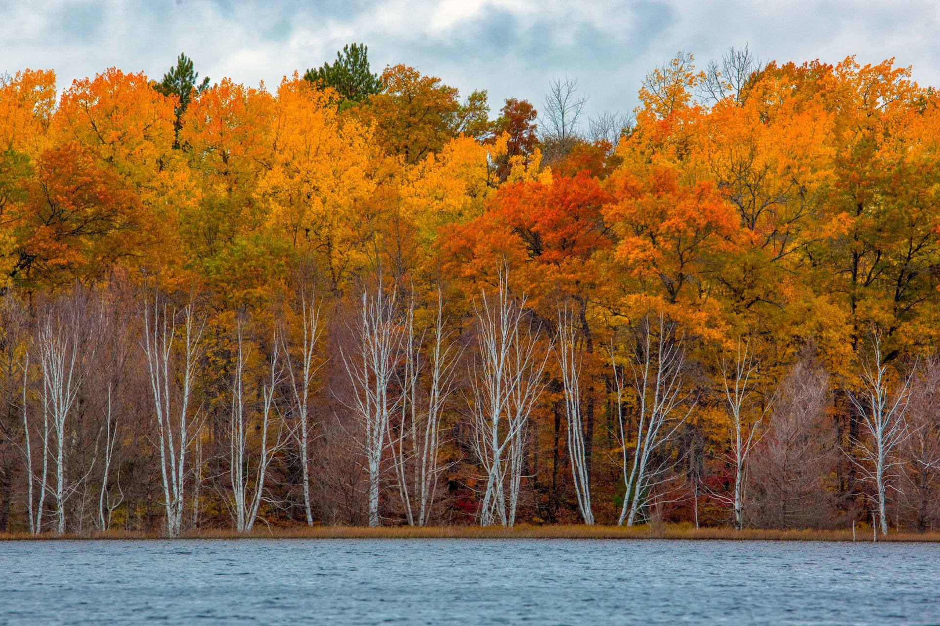 Fall Is Underrated In Wisconsin: 10 Scenic Places To See Fall Foliage