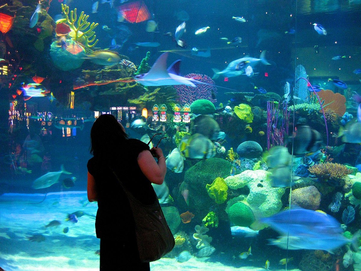 10 Surprisingly Free Things That You Can Do In Las Vegas