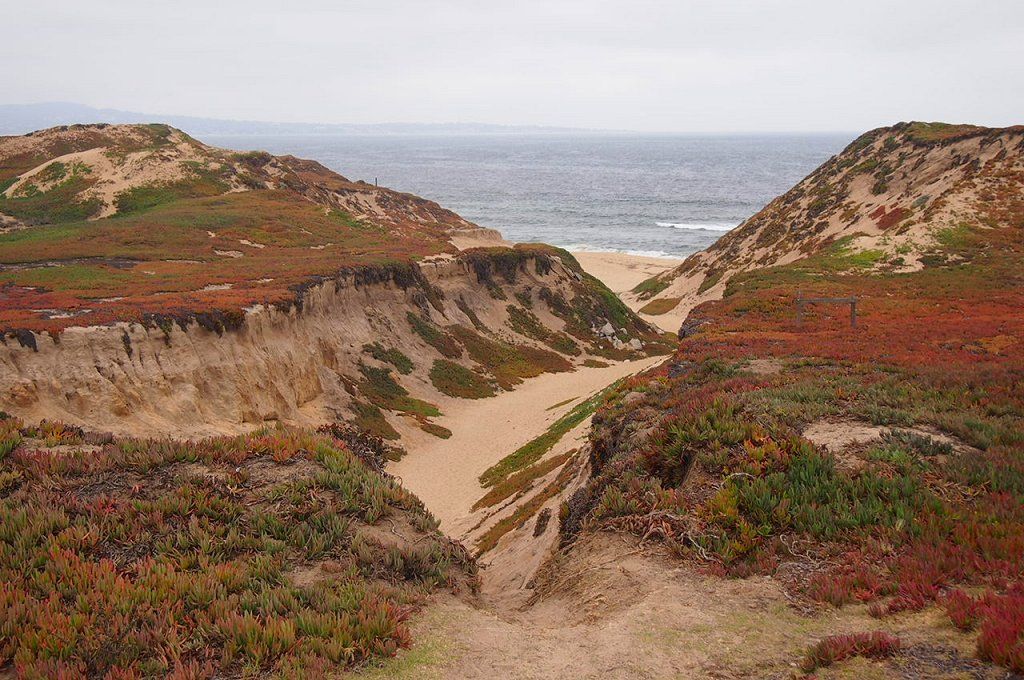 10 State Parks In California Known For Hikes With Ocean Views