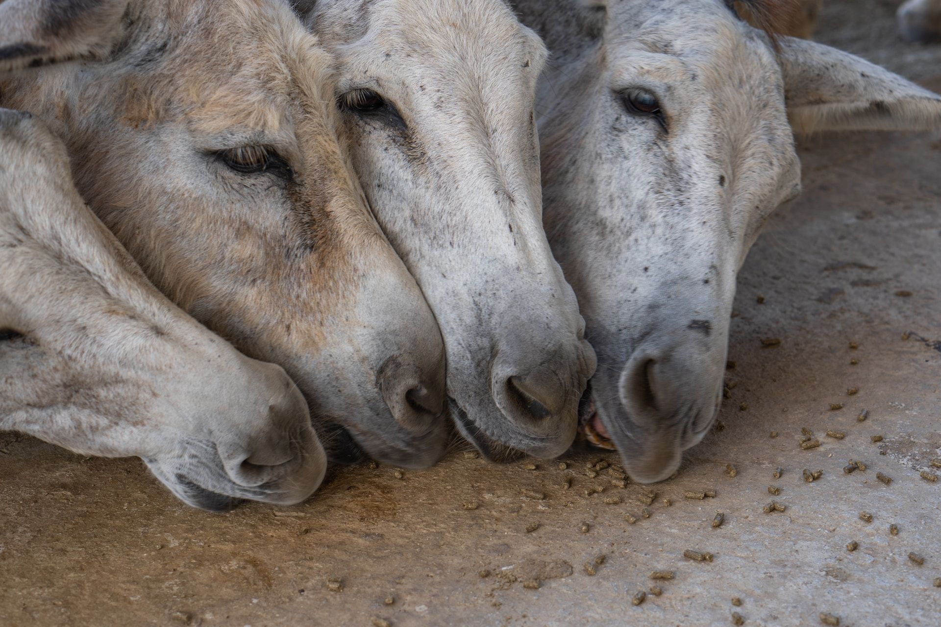 Solo Travelers: 10 Best Things To Do In Aruba