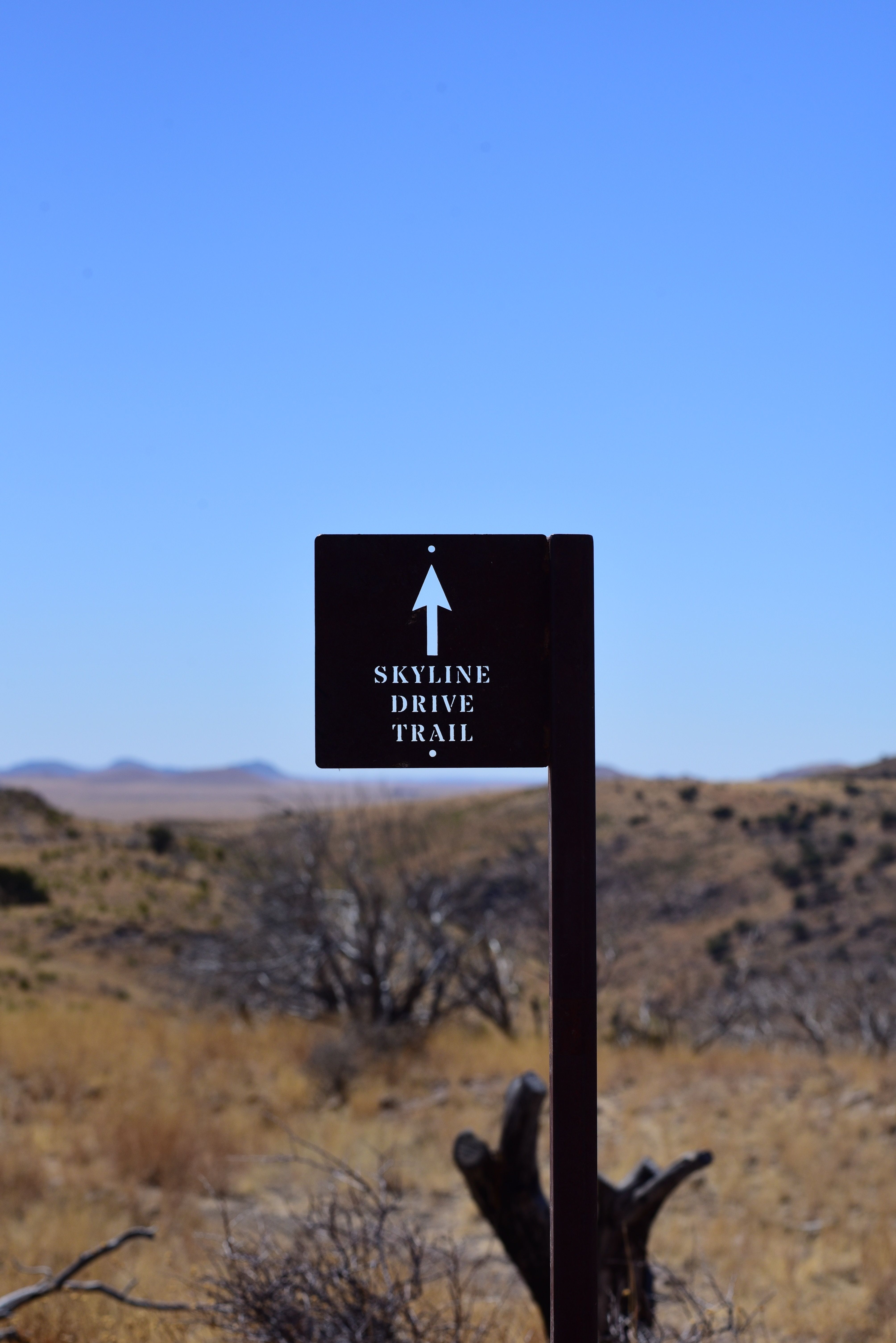 10 Things To Do In Fort Davis: Complete Guide To This Overlooked Texas City