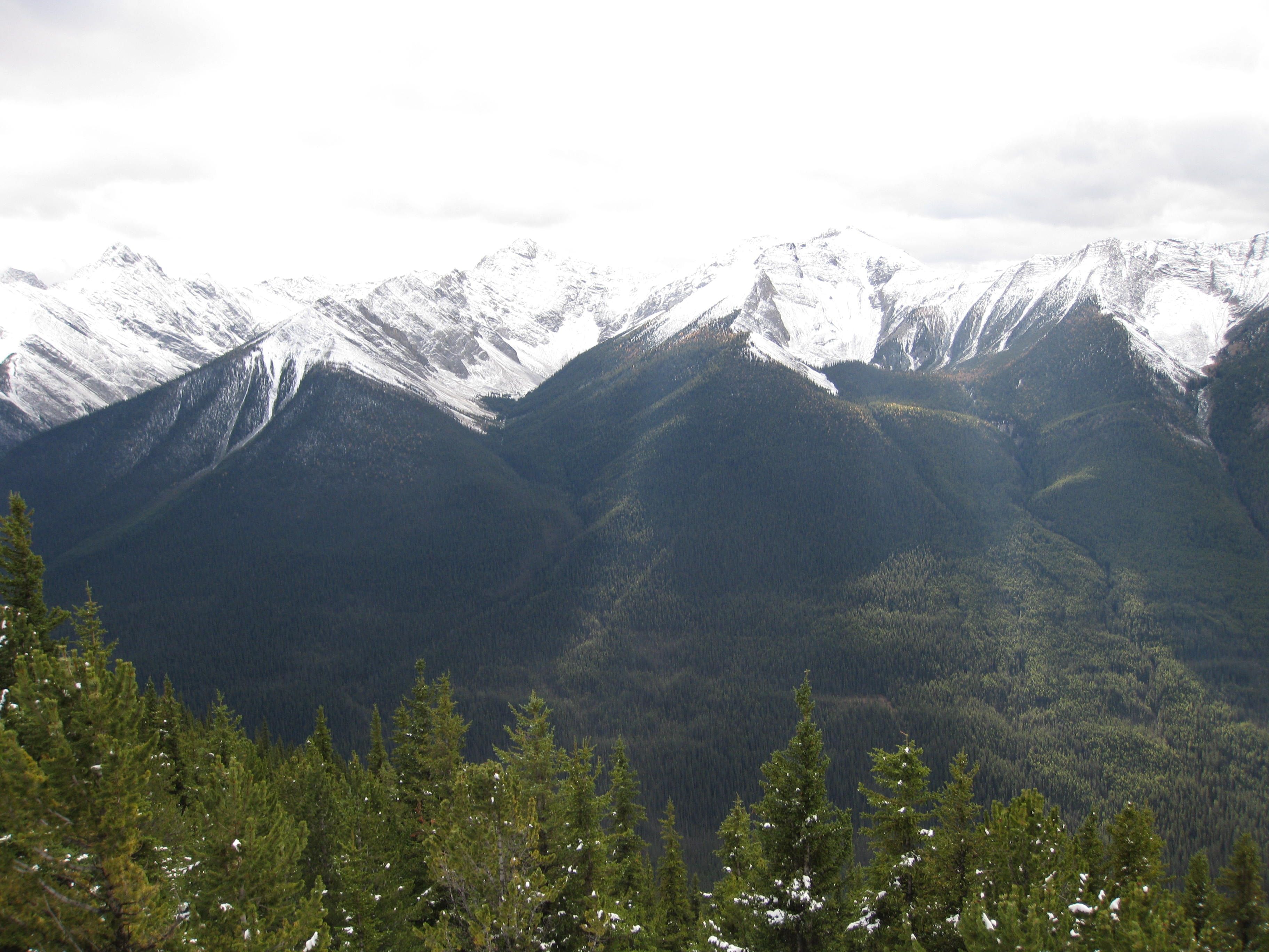 Guide To The Banff Gondola, From Costs, Best Time To Go, & Scenic Sights